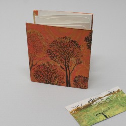 2021 Mini Book Exchange Gallery - Bay Area Book Artists
